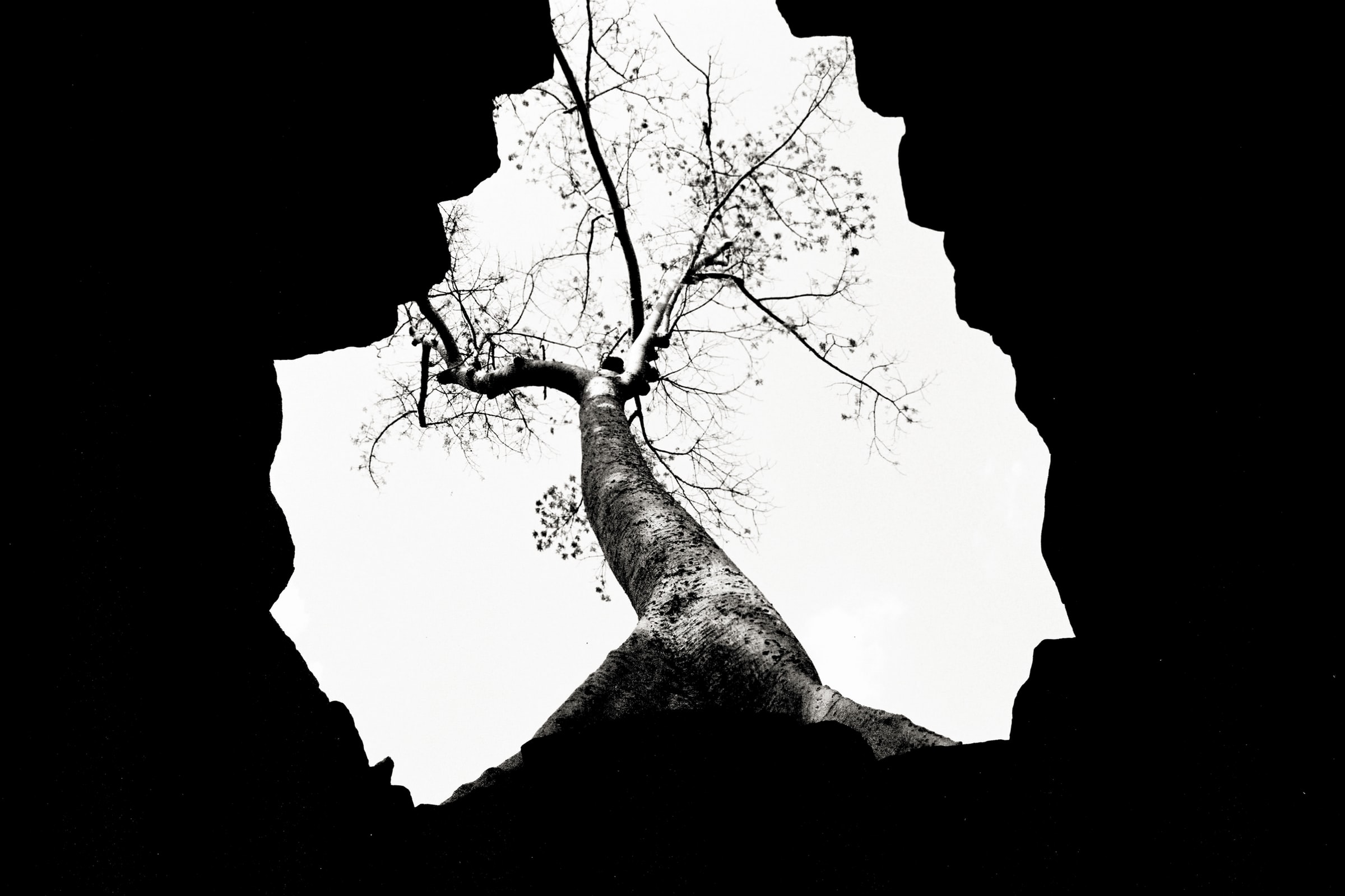 Growing Pains - The operating model challenges of exponential growth ...